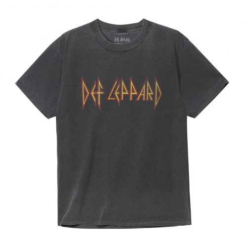 브라바도(BRAVADO) DEF LEPPARD VINTAGE LOGO (BRENT2160) - 사이즈 & 후기 | 무신사