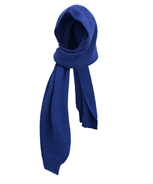 MUSINSA | PARTIMENTO Our Hoodie Muffler Blue