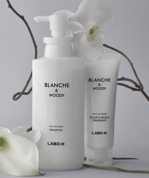 라보에이치(LABO H) 블랑쉬앤우디 퍼퓸 샴푸 333ml+ 트리트먼트 100ml 2종 세트 - 후기 | 무신사