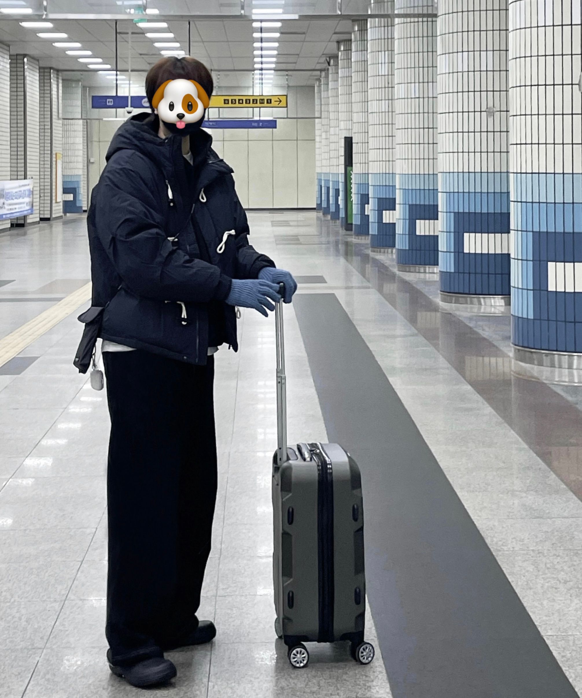 MUSINSA公式 | LEMAIN SECOND ONE-TUCK WIDE SWEAT PANTS [GRAY]