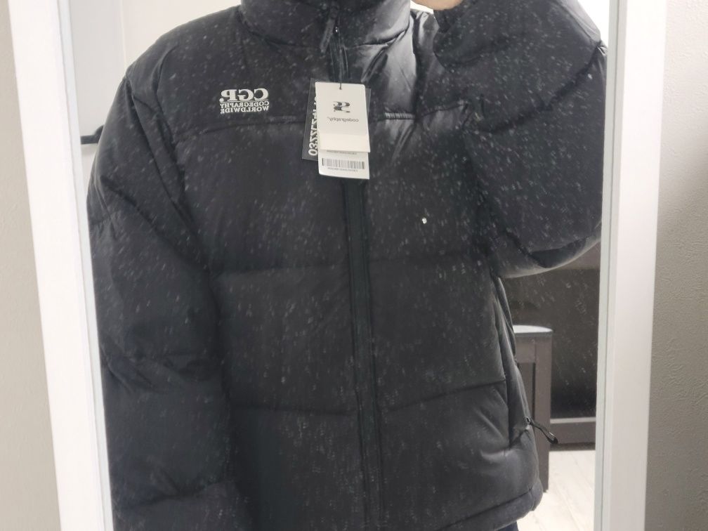 MUSINSA | Codegraphy [24 years Ver.] RDS Essential Duck Down Pupa Short Padding_Sky Blue