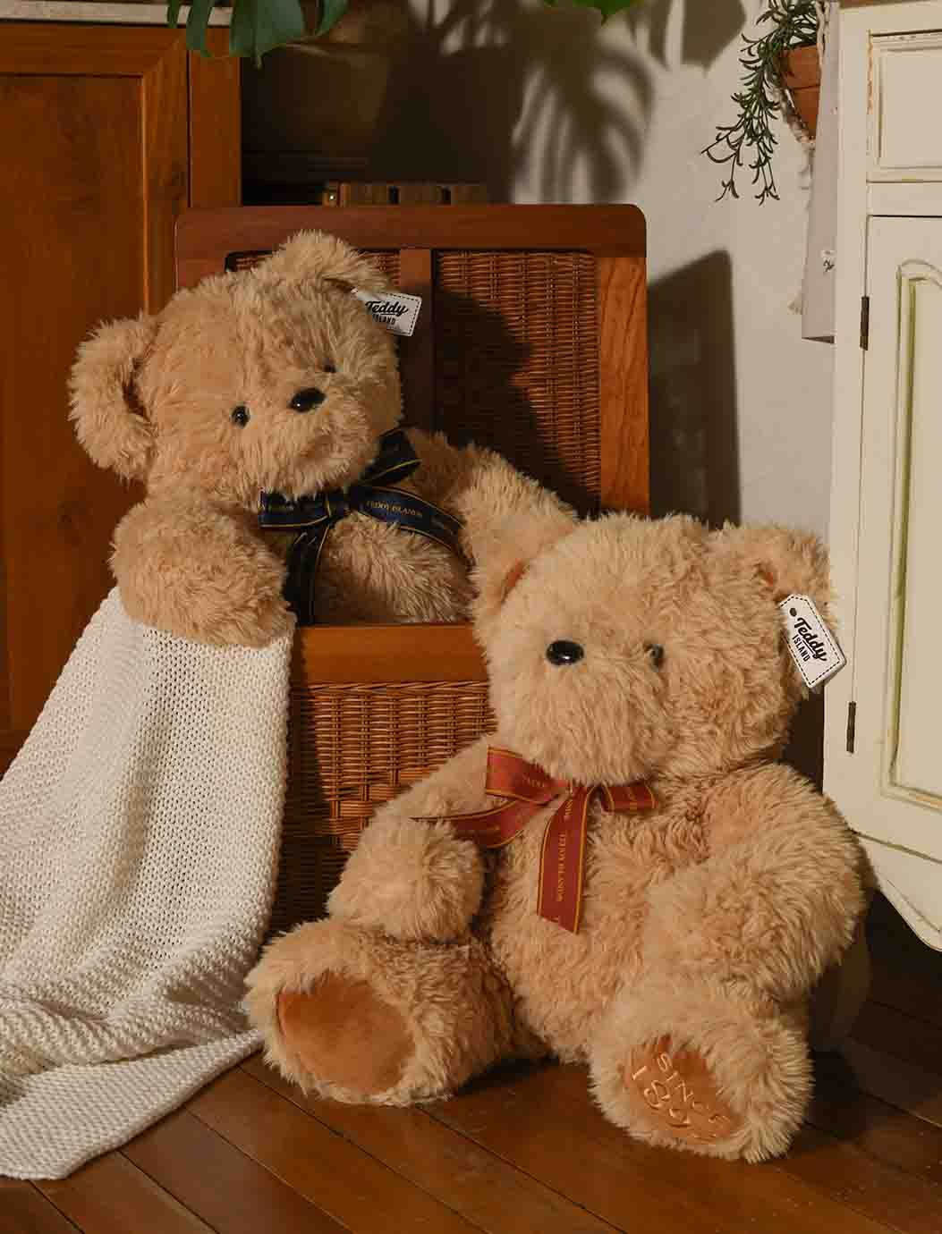 Teddy Island | Official Store – Shop Trendy Fashion at MUSINSA