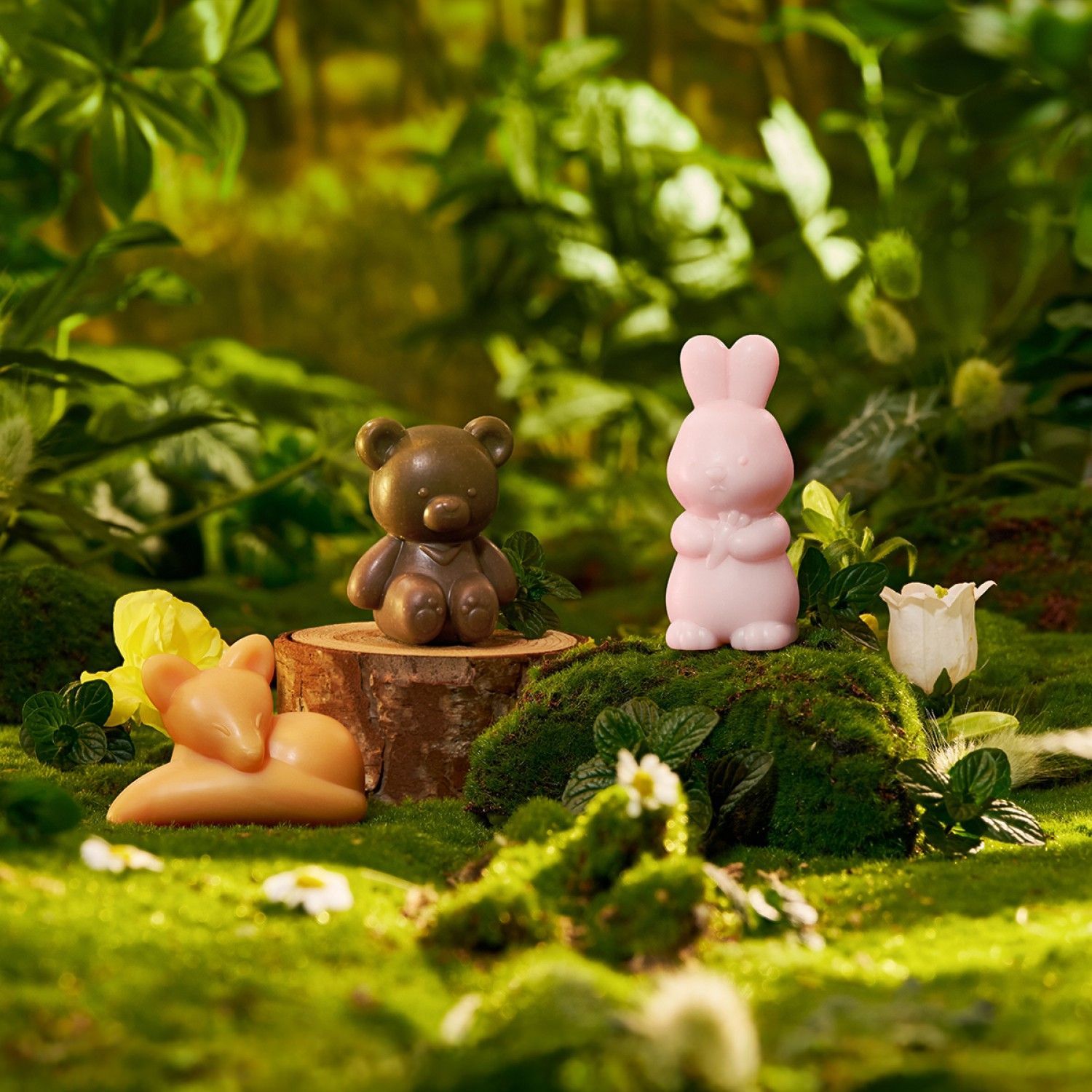 MUSINSA | Value Set Specials