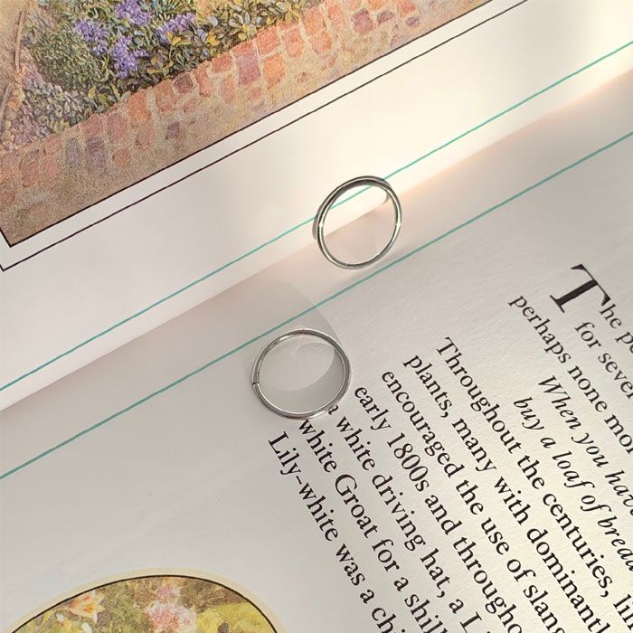 MUSINSA | VINEDEW Ultra Slim Surgical Steel Segment Piercing P104